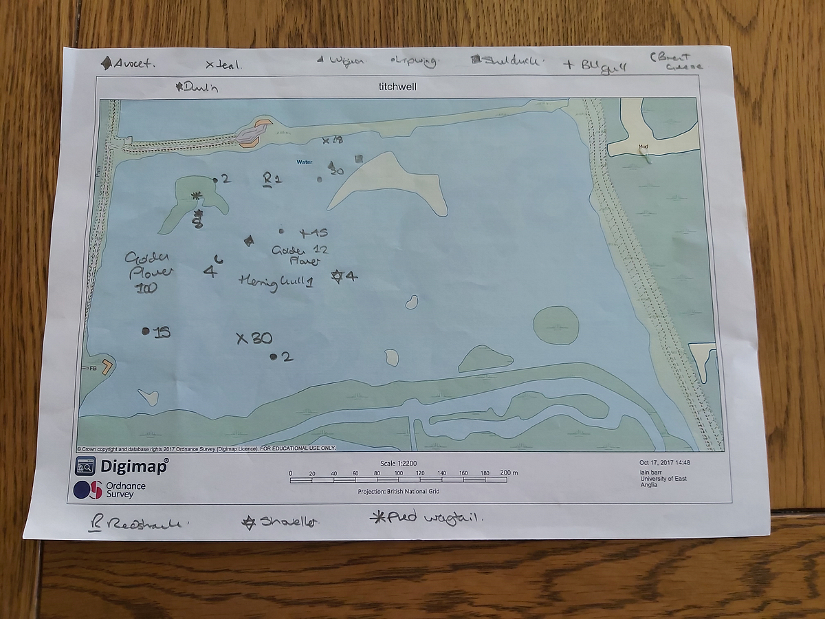 A field trip to RSPB Titchwell Marsh | by UEA Ecology Ben | Medium