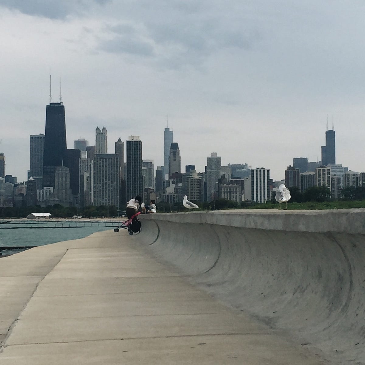 fullerton beach observations. arrived - 3:35pm | by Margaret Wilkinson ...