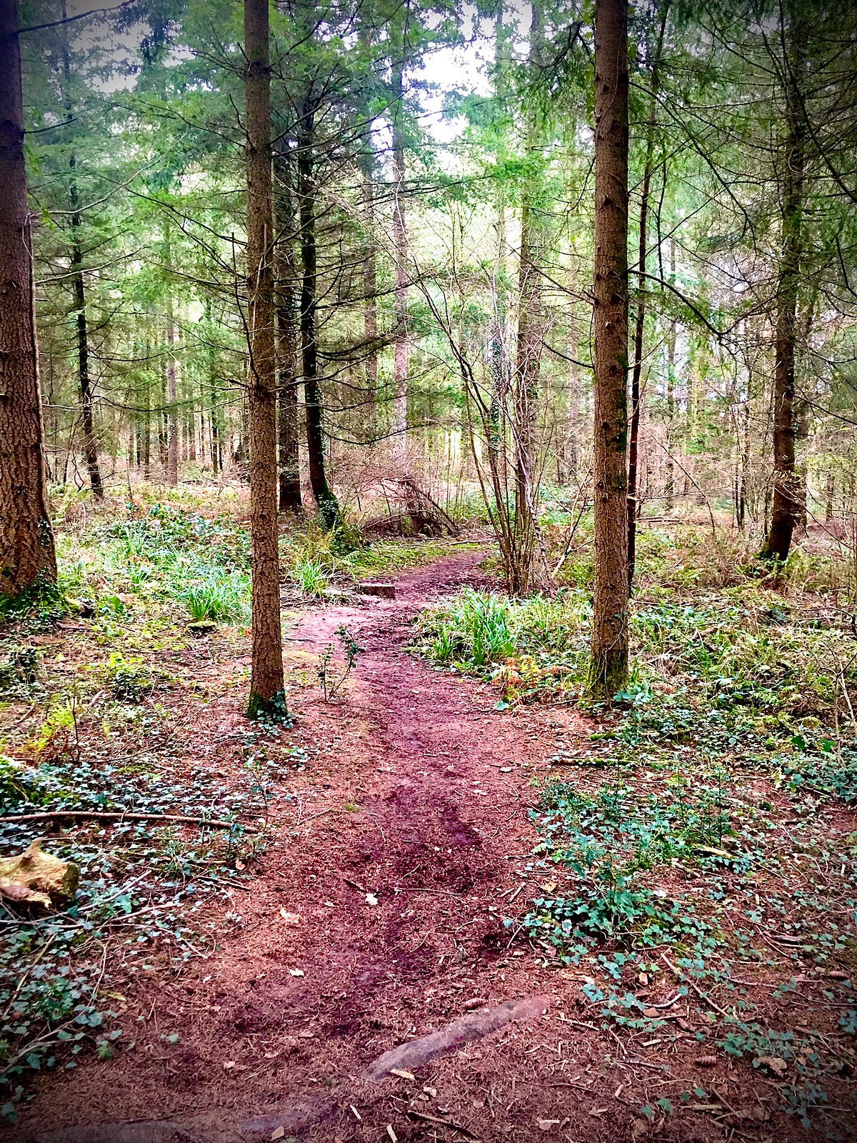 The Undiscovered Country - Kevin Tye - Medium