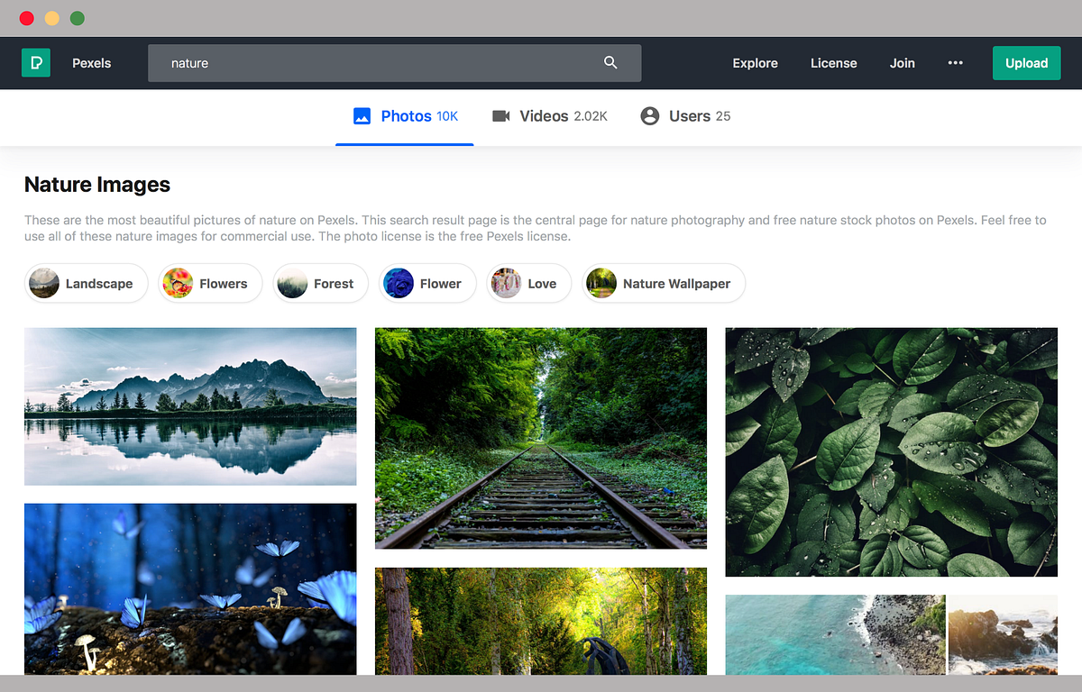 Introducing the New and Improved Pexels Search Page | by Pexels | Medium