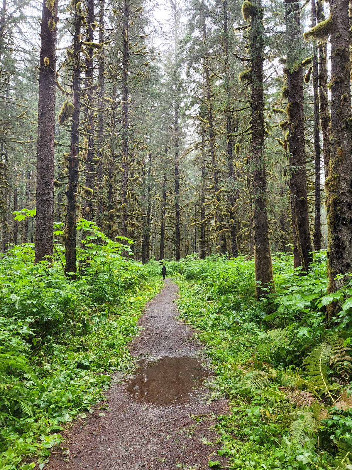 Singing In The Rain In Juneau, Alaska | by Jane Kaufman | Karen and ...