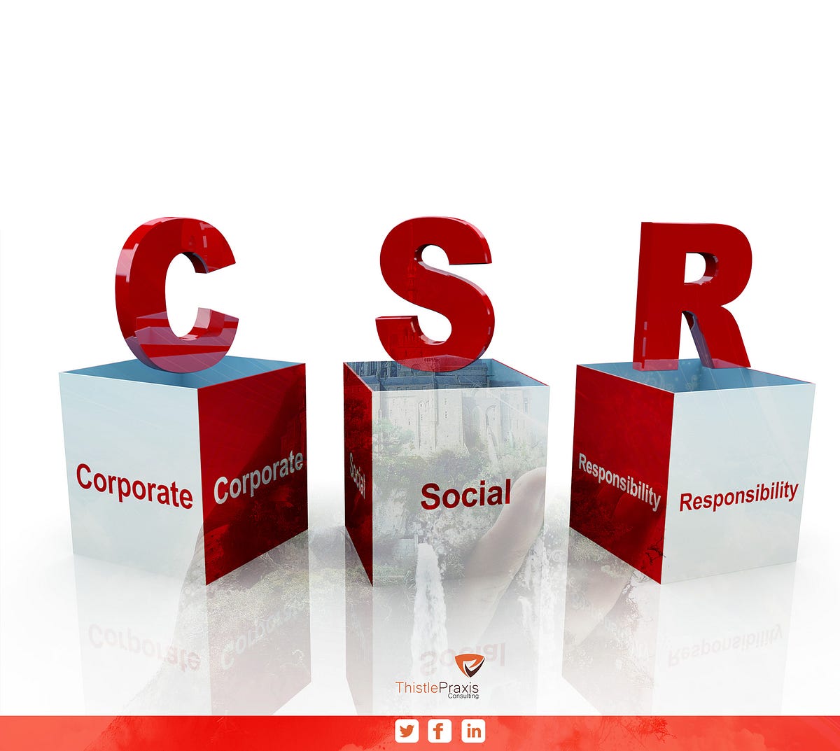 Limiting Perspectives about Sustainability & CSR | by ThistlePraxis ...