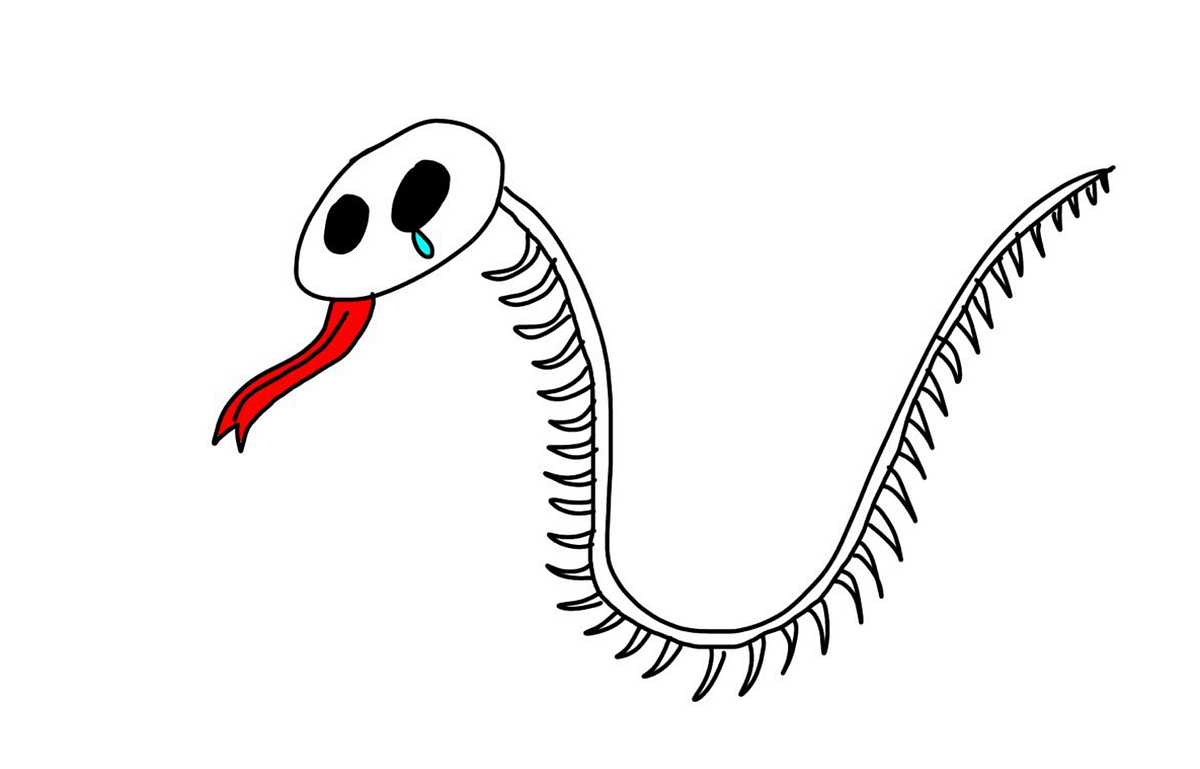 Dear Programming Students — It’s Glaringly Obvious When You Copy Paste Code Without ...