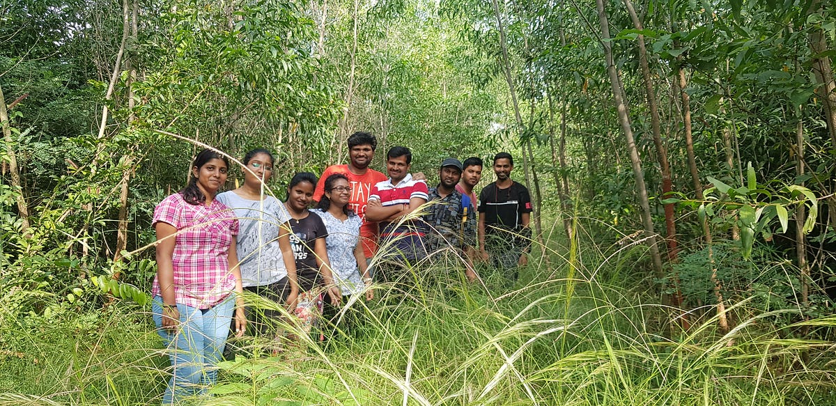 How we enjoyed team outing:. Early morning starts for trecking at… | by ...