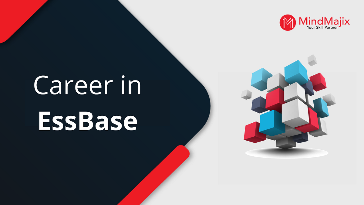 Career in EssBase. Oracles Essbase is an Online Analytical… | by ...