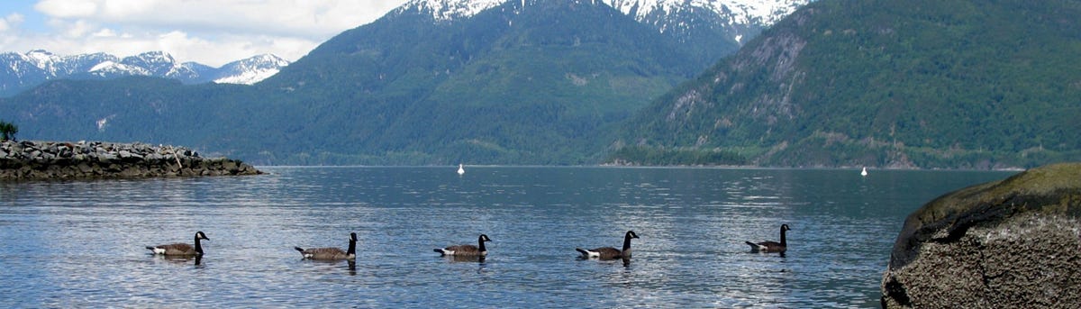 Oh Canada! 6 Reasons to Visit Our Northern Neighbor Now | by ...