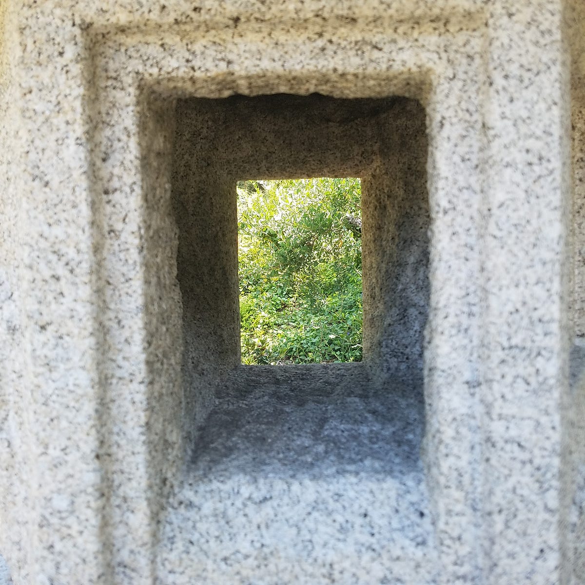 tell me some things. tell me what a family is — | by todd simonson ...