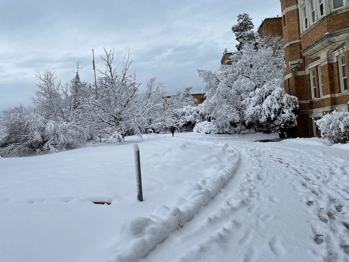 Virgin Beauty - Being Known - Medium