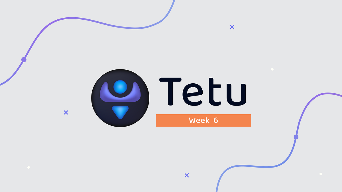 Tetu week 6 recap. Let’s check out Tetu’s progress over… | by Tetu ...