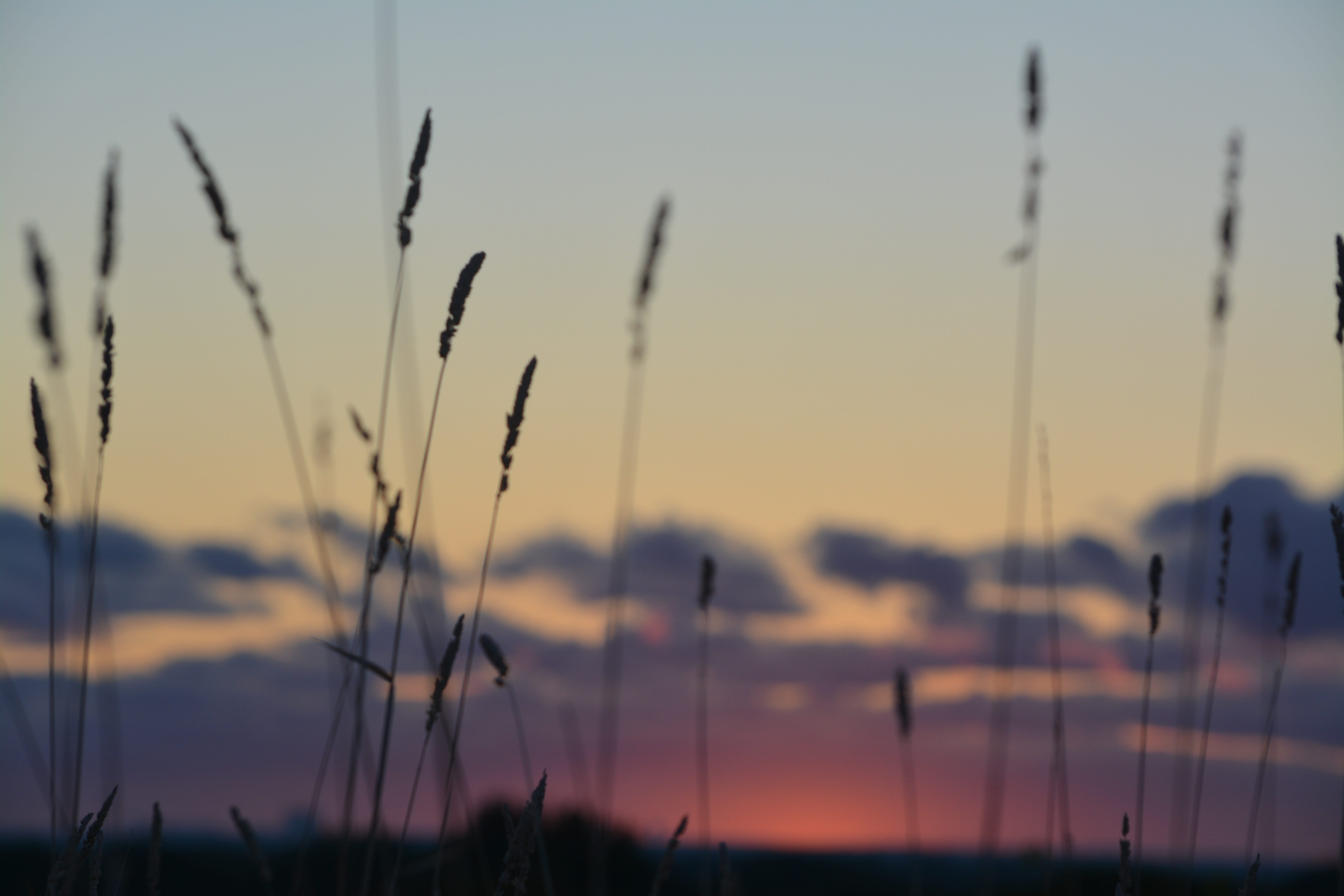 Fading Summer. Cooler days in late August | by Randy Shingler ...
