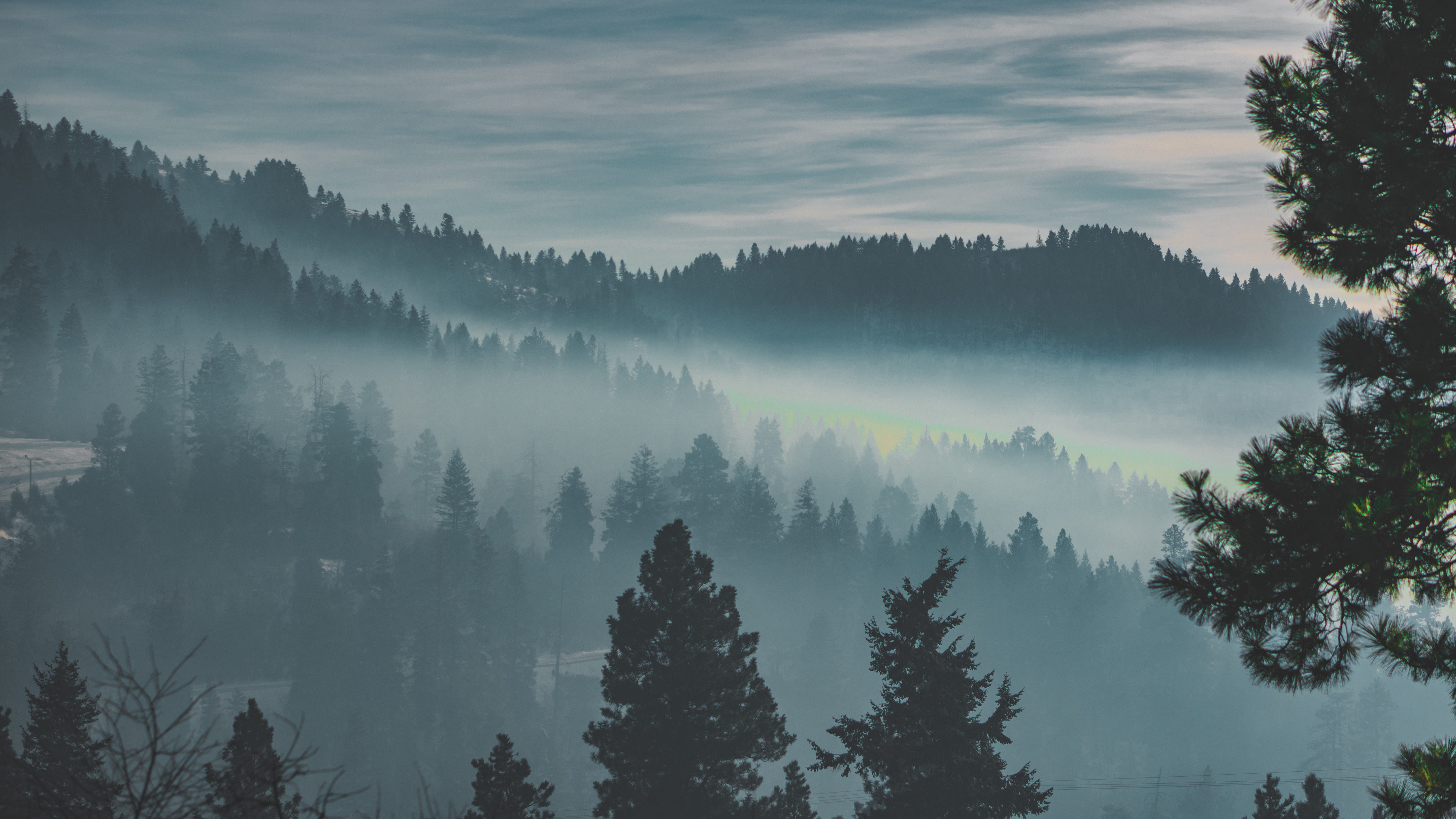 The Shovan Chronicles — Part 11. The Spirit of Shimhan | by Moshe ...