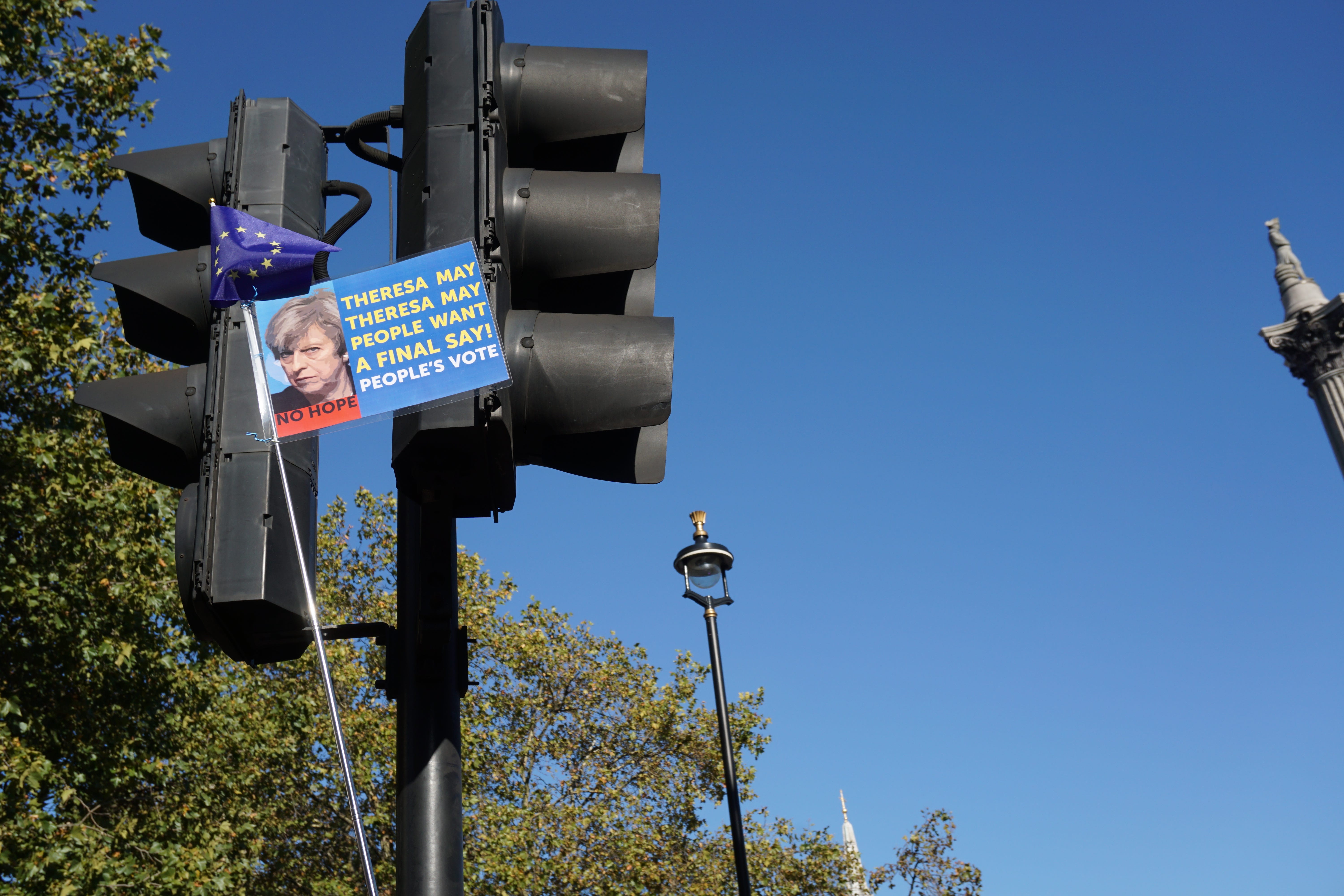 The People’s Vote March in Pictures | by Emerson Toomey | Medium