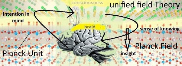 There are scales of conscious effort in the Brain-mind | by Siri Perera ...