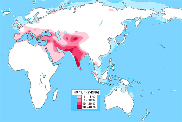 Dravidian Indians