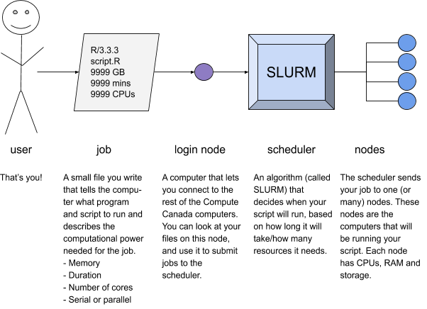 How to run your R script with Compute Canada | by Julie Fortin | the ...