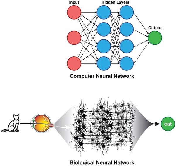 An Introduction to Artificial Intelligence | by Katie Silverman | The ...