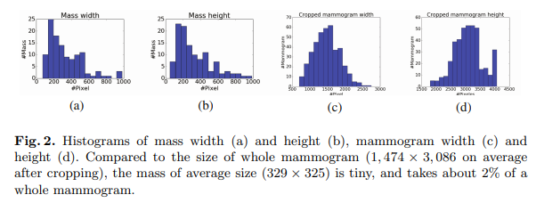 医学图像论文翻译. Deep Multi-instance Networks with… | by Aurora | Medium