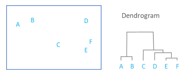 What is a Dendrogram? | by Displayr | Medium
