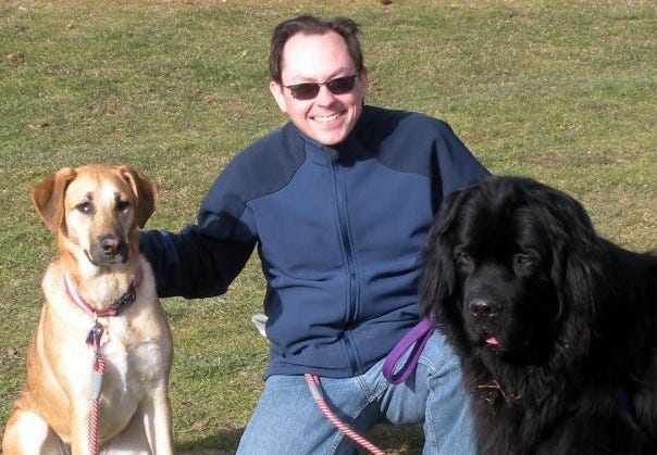 National Dog Day is Saturday, August 26, 2017 | by KP Washington Health ...