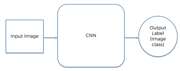 Convolutional Neural Network(CNN) with Practical Implementation | by ...