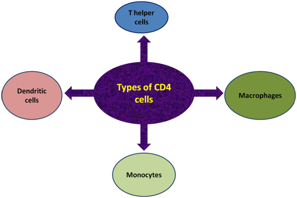 HIV: The Immune System Conqueror. In this post we will discuss why the ...