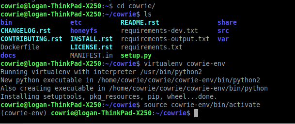 Install And Setup Cowrie Honeypot On Ubuntu(Linux) | by jeremie daniel ...