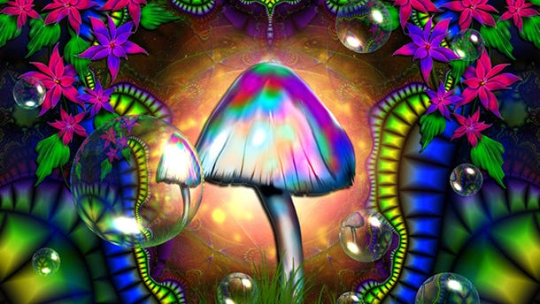5 Psychoactive Plants — From Nature With Love | by Roselyn Bette | Medium