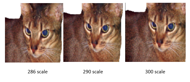 Fast pix2pix in the Browser. Introduction | by Zaid Alyafeai | Medium