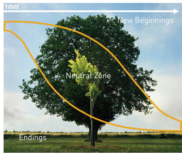 How To Go Through Change Effectively — Breaking Down Change | by Edu ...