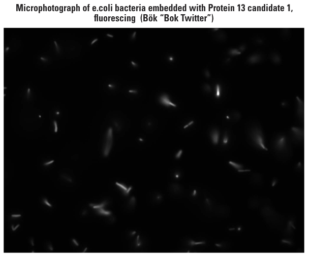 Arte robótico. Concepto: | by Nathaly Dongo Mendoza | Medium