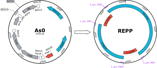 Repository-based plasmid design. Lattice’s goal is to build tools for… | by Joshua Timmons ...