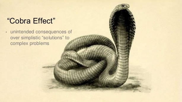 The Cobra Effect. When solutions become bigger than the… | by Charmaine ...