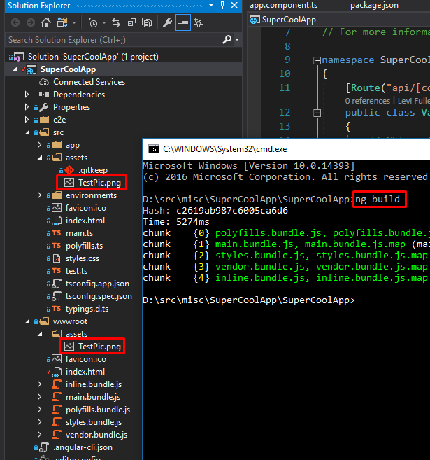 Keep any static files in the src/assets/ folder and they will be output ...