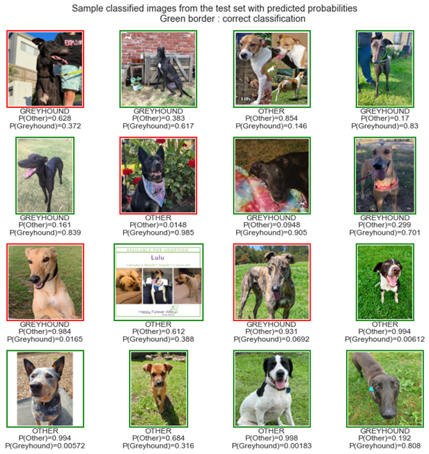 Using classification models to detect dog breed from images | by Emad ...