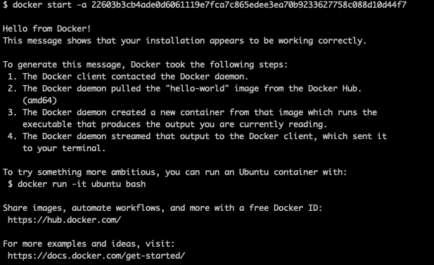 Docker — Container(上). Docker Run | by Tinghuan Wang | summer's life | Medium