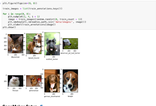 Object Detection Image Classification And Semantic Segmentation Using Aws Sagemaker By