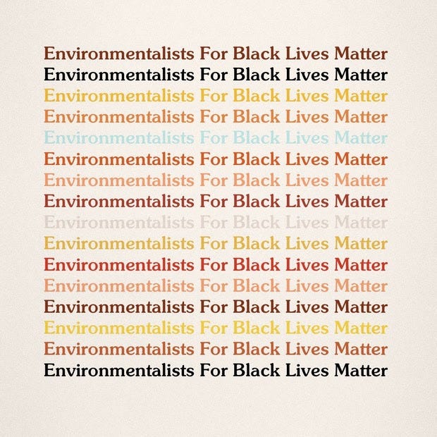 Intersectional Environmentalism: A Crash Course | by Back to Zero ...