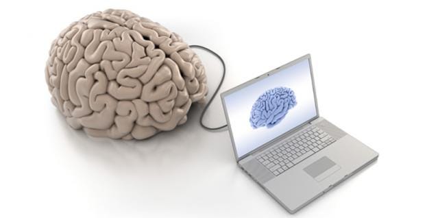 Let’s Talk about BrainTech. It weighs on average 1500g, made up… | by ...