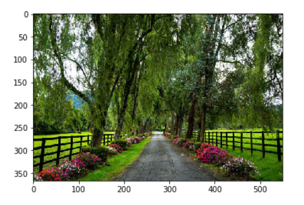 Basic Concepts for Image Segmentation | by Ben Hu | Medium