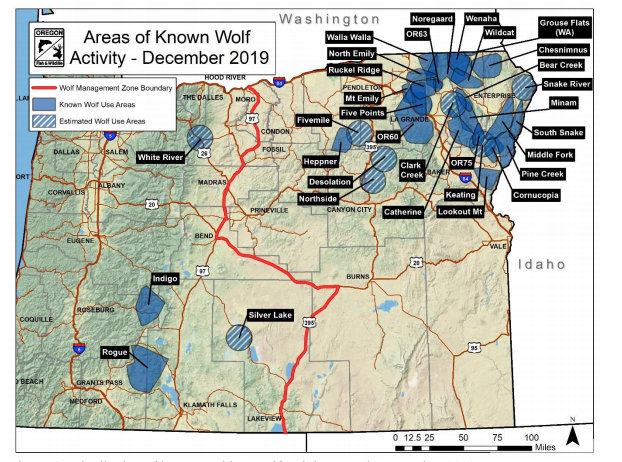 A Tale Of Two States A Closer Look At Wolf Conservation And Management