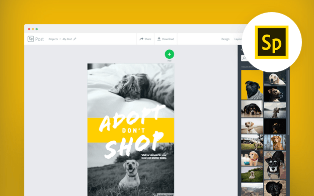 📸 Unsplash’s API. Use the world’s most powerful photo… | by Stephanie ...