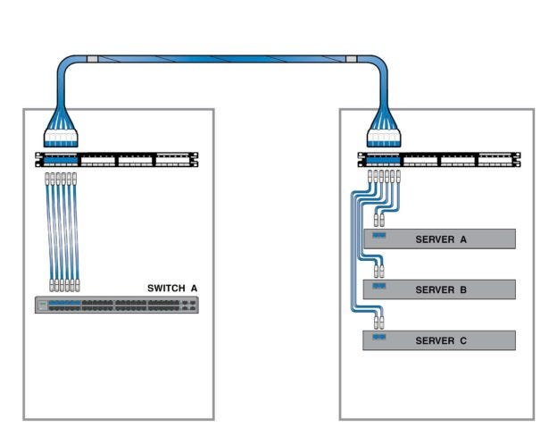 What Is Copper Trunk Cable and How to Use It？ | by Alice Gui | Medium