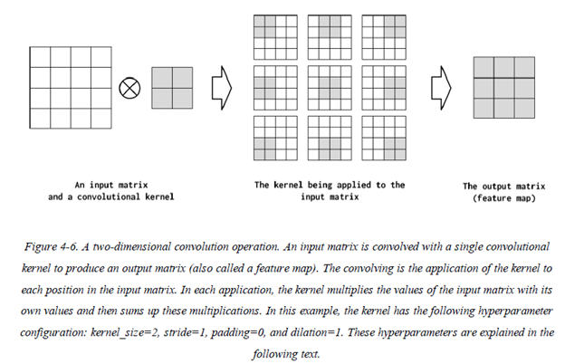 Introduction to Convolutional Neural Networks | by Pearl Su | Medium