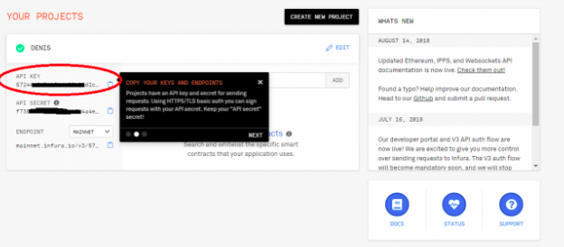 Infura API Key Guide. Guide to get your own api-key | by Bizanc | Medium