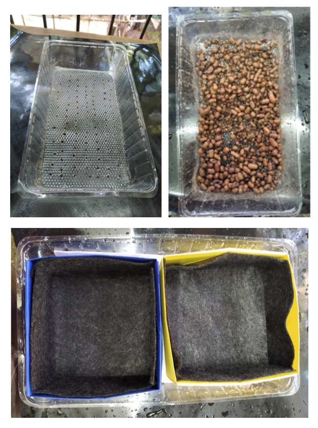 Micro green growing at home. By Anuj Mohan Bulsara | by Ugavo Ane Jivo ...