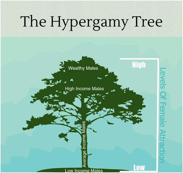 Hypergamy: Let’s talk it out!. Hypergamy | by Shreya Samtani ...