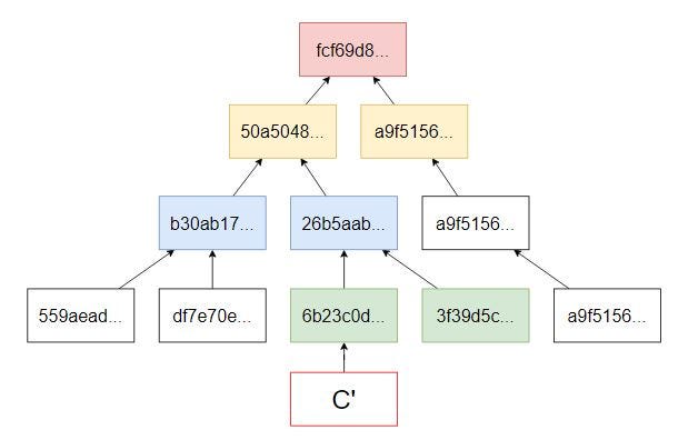Implementing Merkle Tree and Patricia Trie | by Kashish Khullar ...