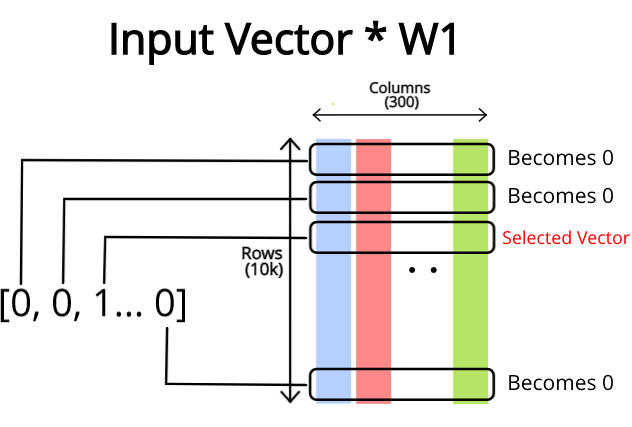 A guide to understanding word embeddings and building your first RNN model using Keras: A ...