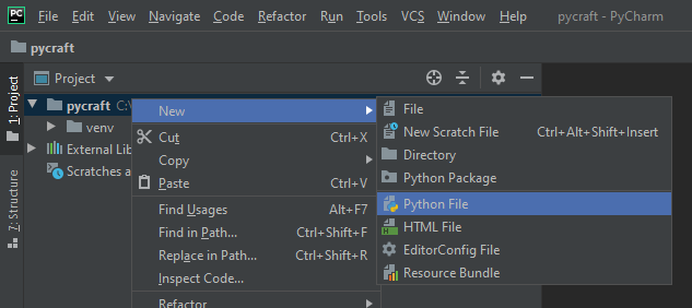 Road To: Minecraft Written in Python #1 | by Korin Aldam-Tajima | Mar ...