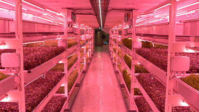 The Next (Vertical) Level of Farming | Medium